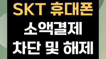 SKT 소액결제 완벽 가이드: 차단부터 해제까지 한번에!